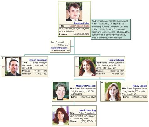 Wpf Orgchartorganigramwbs Tree Control Exorgchart