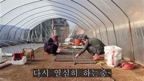 혜성농장 고추씨 파종 Youtube