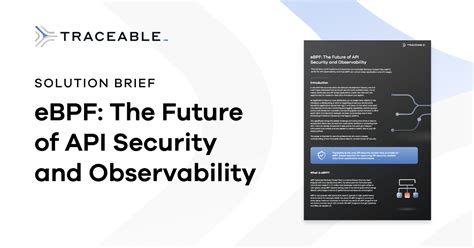 EBPF The Future Of API Security And Observability Traceable API Security