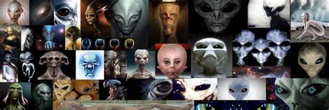 Alien Species Gateway Alien Species Home