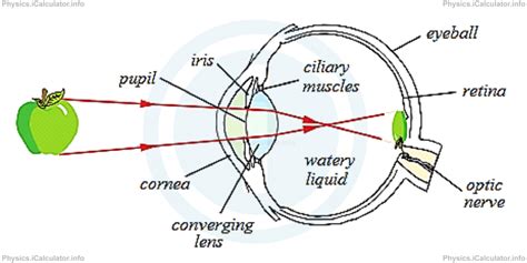 The Human Eye Icalculator™
