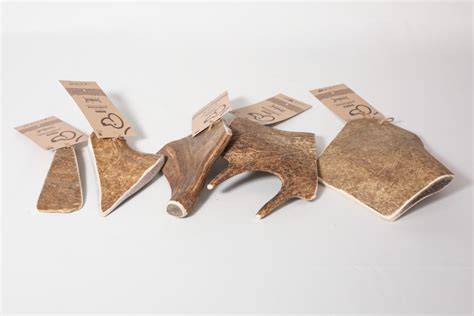 Dino Bois De Daim à Mâcher Pour Chiens