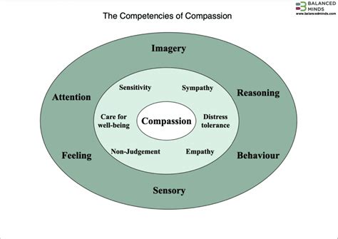 Compassion Focused Therapy Psychoeducation Balanced Minds