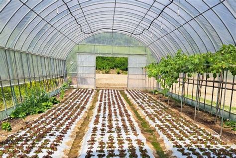 Week 6 Fargate — Troubleshooting Backend Health Check 2 Aws By Gwen