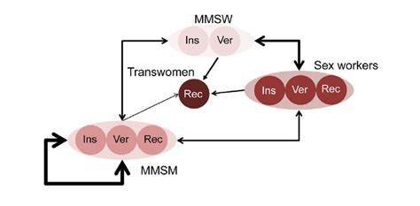 Model Representation Of Sexual Mixing And Sexual Positioning Among Msm