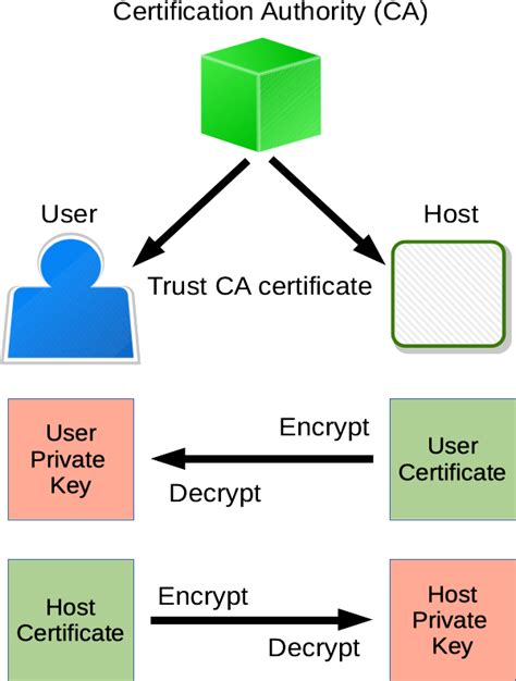 Boot Solution To Launch Lightweight Test And Development Environments
