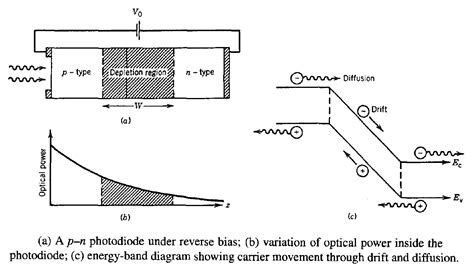 Common Types Of Photodetectors Fosco Connect