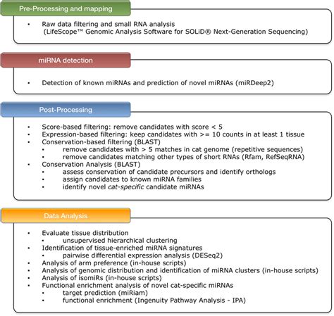 Computational Pipeline Of Data Analysis The Figure Illustrates The