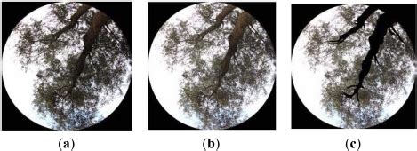 Edition Of Photographs A Original Image B Gamma Correction C Download Scientific