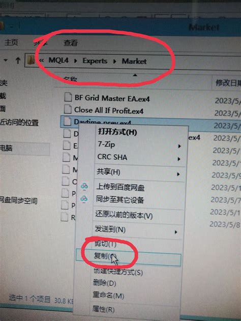 卖家删除了ea，mt4里面下载了的ea可以复制使用吗 一般 Mql5 算法交易论坛