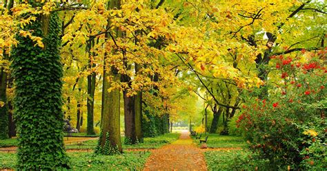 Ultra Hd Yellow Wallpapers Top Hình Ảnh Đẹp