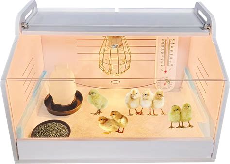 Brooder Box For Chicks Chick Brooder With Bulb Set And