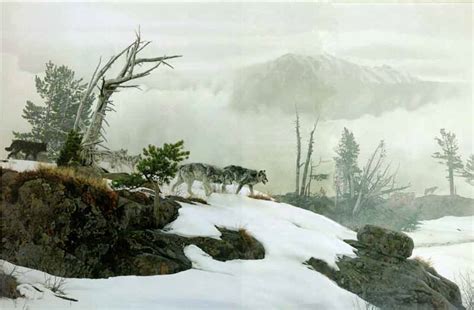 The Art Of Rod Frederick