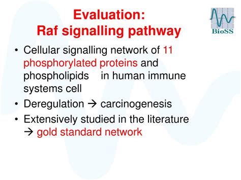 Ppt Reverse Engineering Of Regulatory Networks Powerpoint