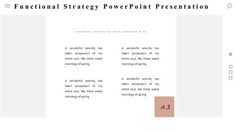 Functional Strategy Powerpoint Presentation Pptuniverse