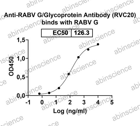 Anti Rabies Lyssavirus G Glycoprotein Antibody Rvc111 Abinscience