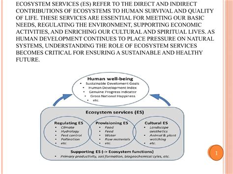Frm Assignment Ecosystemppt Final 1pptx