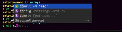 Problem With Auto Complete With Git Repositories Issue Withfig Fig GitHub