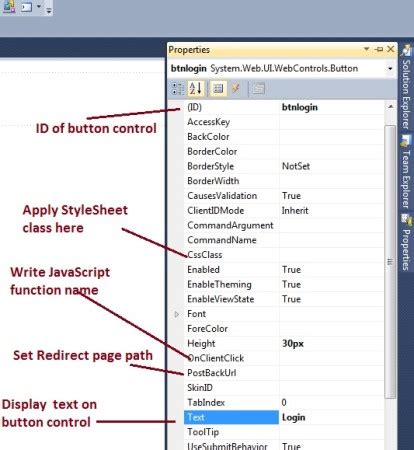Asp Net Control Button Control