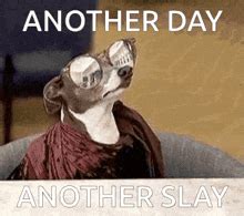 Just Another Day Meme Just Another Day 😂🤷🏻♀ Meme Memes