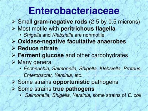 Enterobacteriaceae Infections Enterobacterial Infections