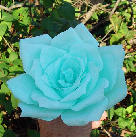 Types Of Teal Flowers At Jasmine Jeon Blog