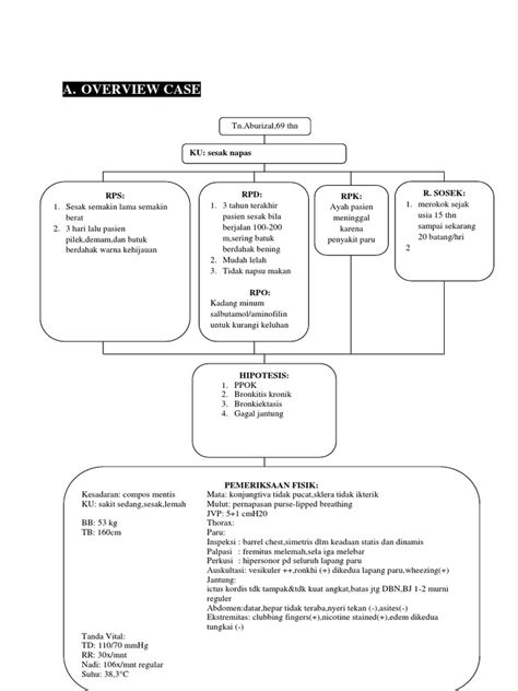 Patogenesis Dan Patofisiologis Ppok Pdf