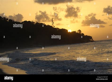 Turtle Nesting Beach Site Grand Riviera Trinidad And Tobago Stock