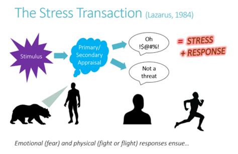 PSYC 305 Final B Flashcards Quizlet