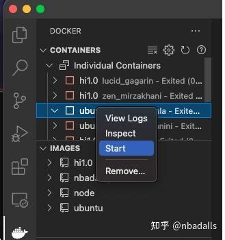 VsCode在Docker中进行开发 知乎