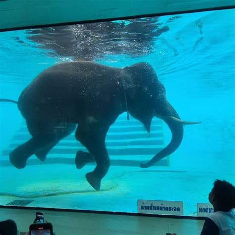 Ilaw การทำงานของ ส ว จะไม่ได้เป็นการประชุมร่วมกันของสมาชิกทั้ง 250 คนร่วมกันตลอดเวลา แต่จะ