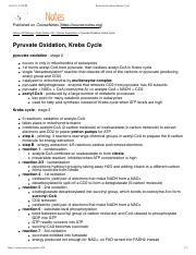 Pyruvate Oxidation and Krebs Cycle: Stages, Reactions, and | Course Hero