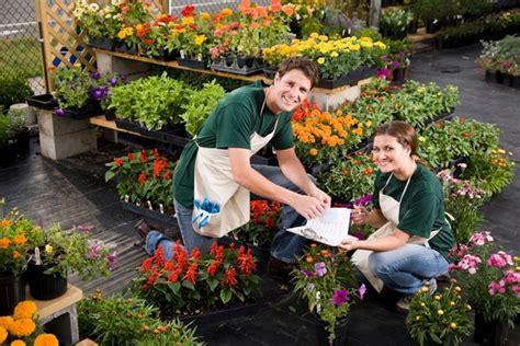 Garden Nursery Tips And Ideas How To Start Your Own Plant Nursery