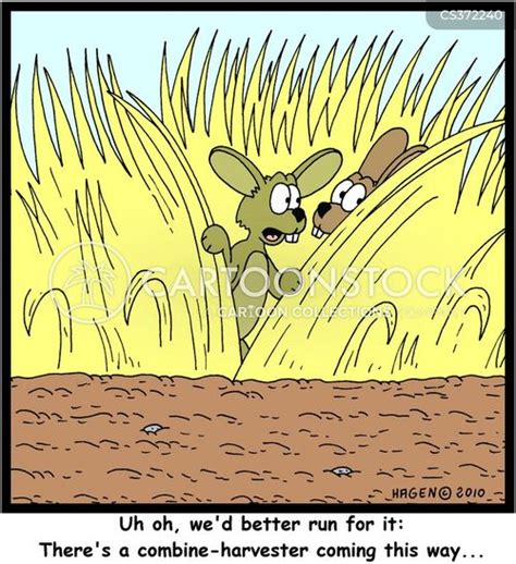 Harvest Cartoons And Comics Funny Pictures From Cartoonstock