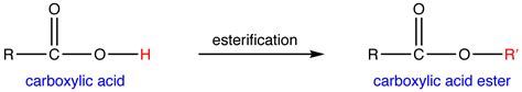 Esterification