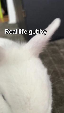 Gubby Tiktok
