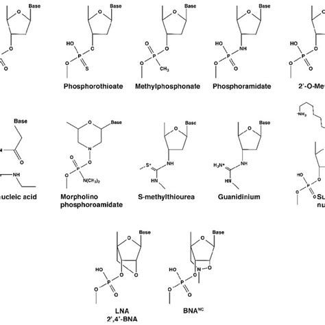 Chemical Structures Of Nucleotide Analogs Download Scientific Diagram