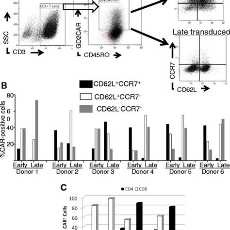 The Effector Memory Phenotype Of T Cells Transduced On Day 3 And Day Download Scientific