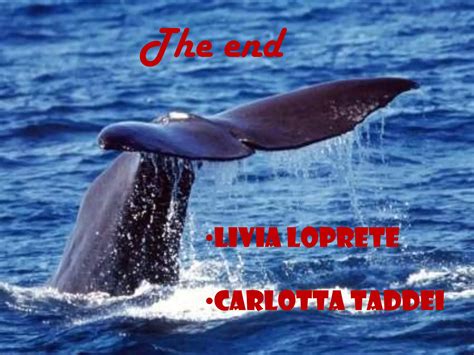 Moby Dick Pptx Moby Dick Pptx