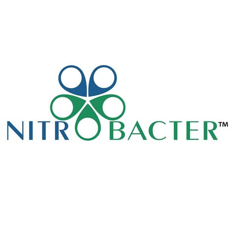 Nitrobacter