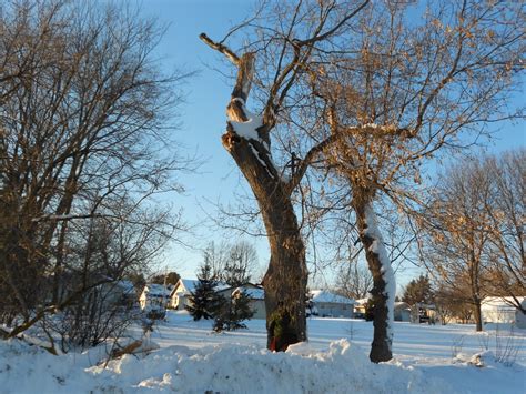 What A View My Brawny Lumberjack Man