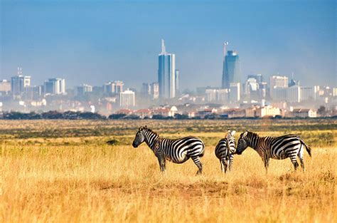 The Best Time To Visit Nairobi City Kenya Safaris Kenya Tours