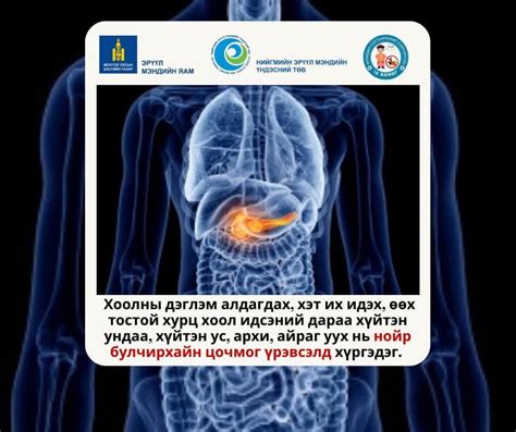 Баянзүрх дүүргийн Нэгдсэн эмнэлэг 📢Нойр булчирхайн цочмог үрэвслэс сэргийлэе ️Архинд зохистой