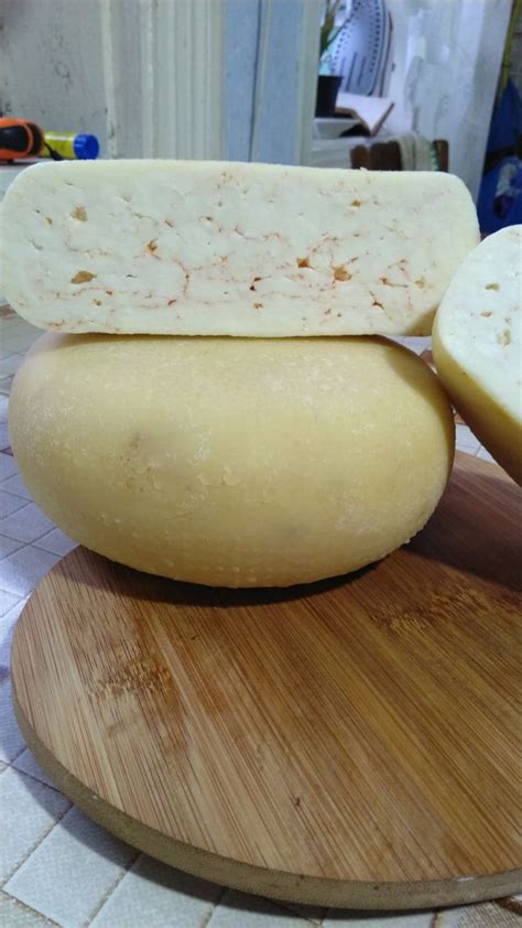 Сыр
