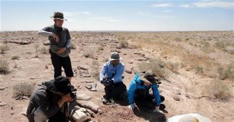 지질硏 전문가들과 몽골 공룡탐사 함께 해요