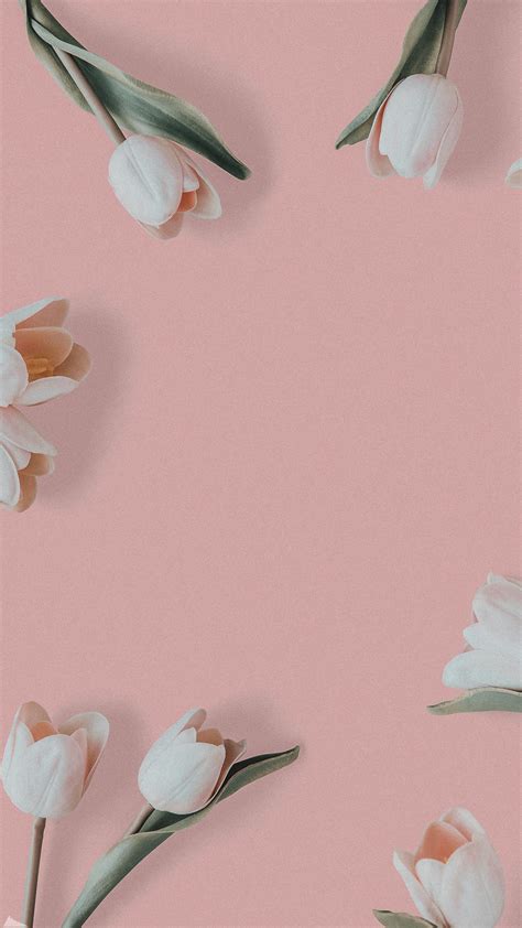 White Tulips Wallpaper For Your Phone