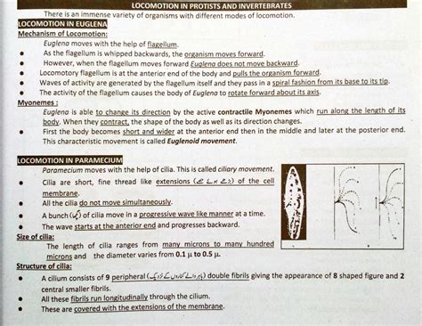 Solution Biology 12 Ch 16 Topic Locomotion In Protists And