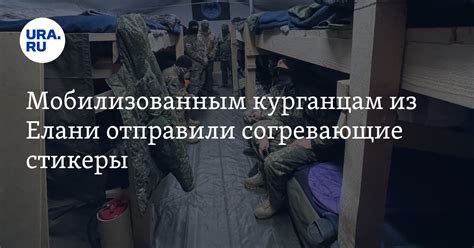 Мобилизованным курганцам отправили согревающие стикеры в Елань - фото