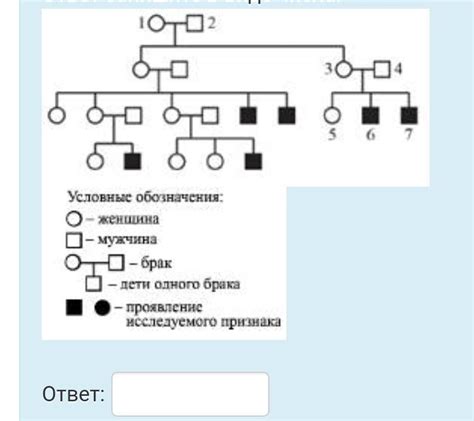 По родословной определите вероятность рождения ребенка у родителей 3 и 4 с признаком