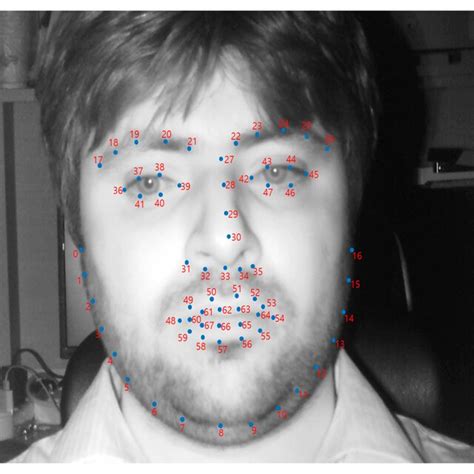 Examples Of Detected Facial Feature Points And Their Corresponding Download Scientific Diagram